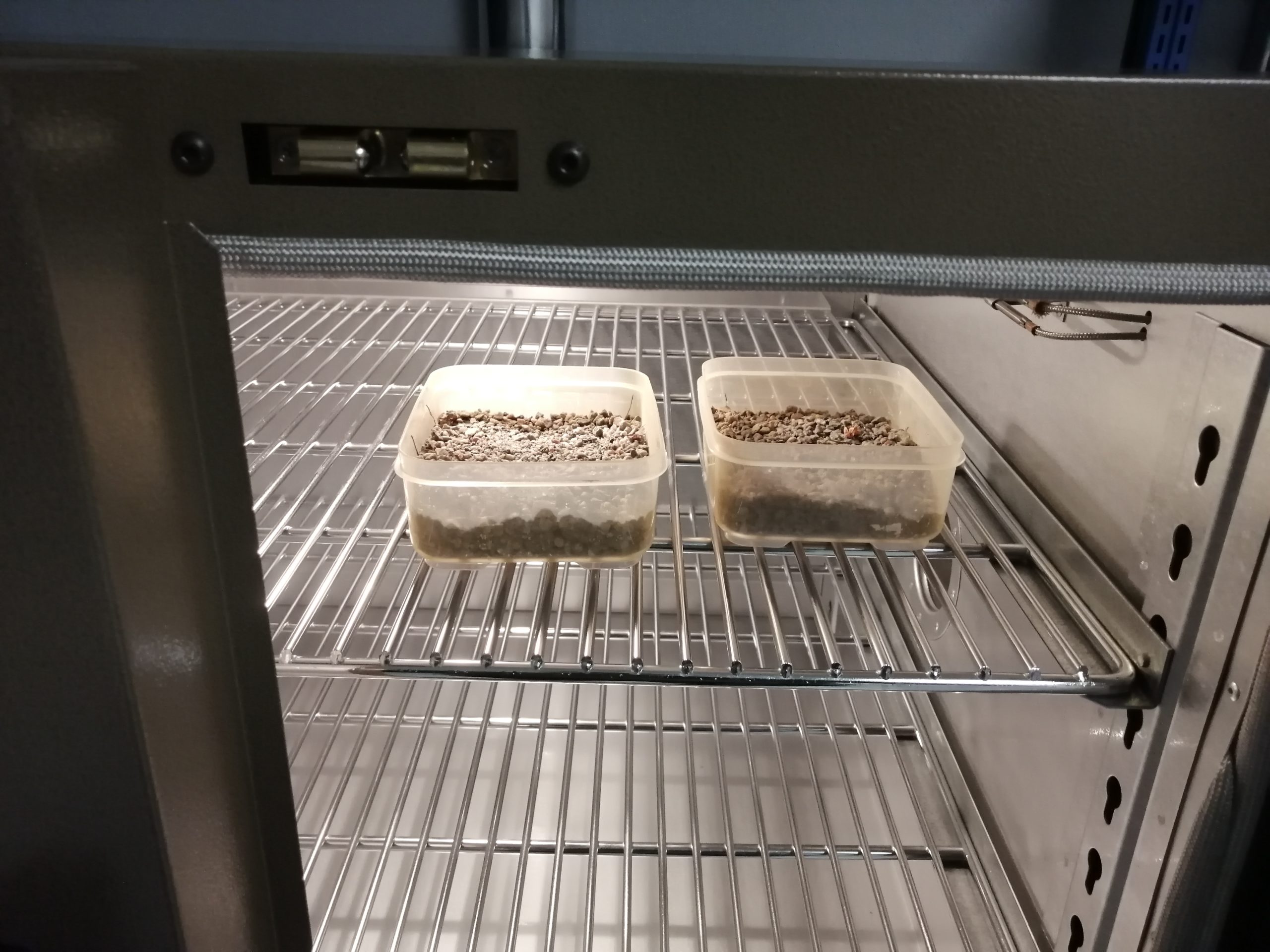 Dust Control in Tailings: Comparison of Additives and Application ...